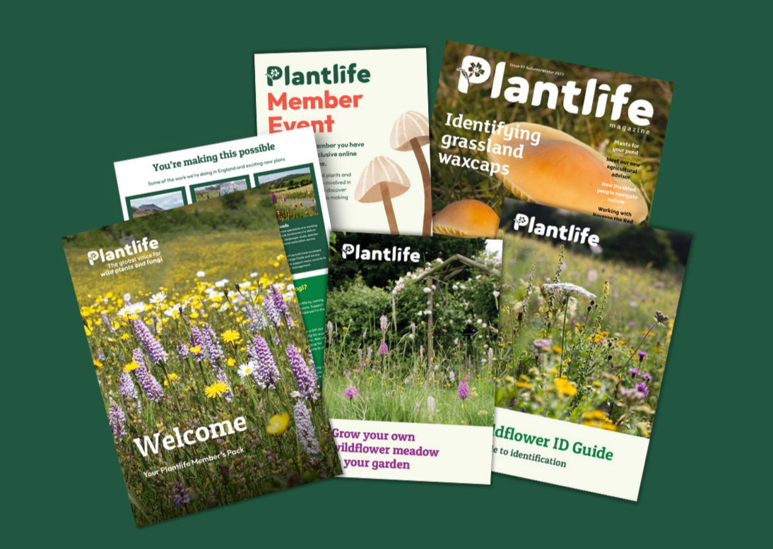 Individual Membership – Plantlife Shop