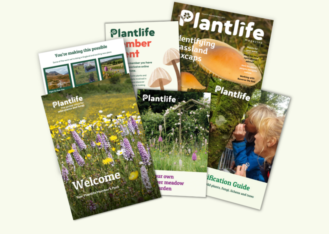 Individual Membership – Plantlife Shop