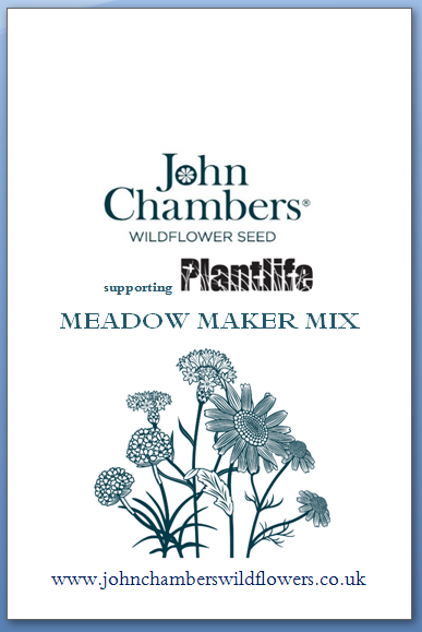 Meadow Maker - Wild flower seed mixture – Plantlife Shop